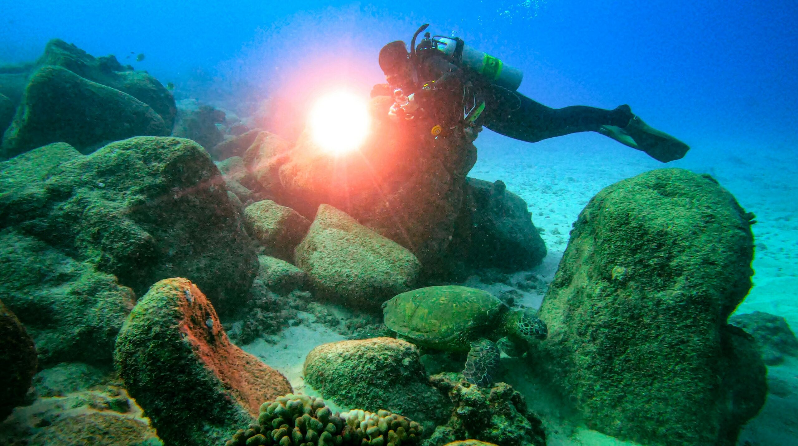 Meet Mingyang Alvin Li - Bold Journey Magazine