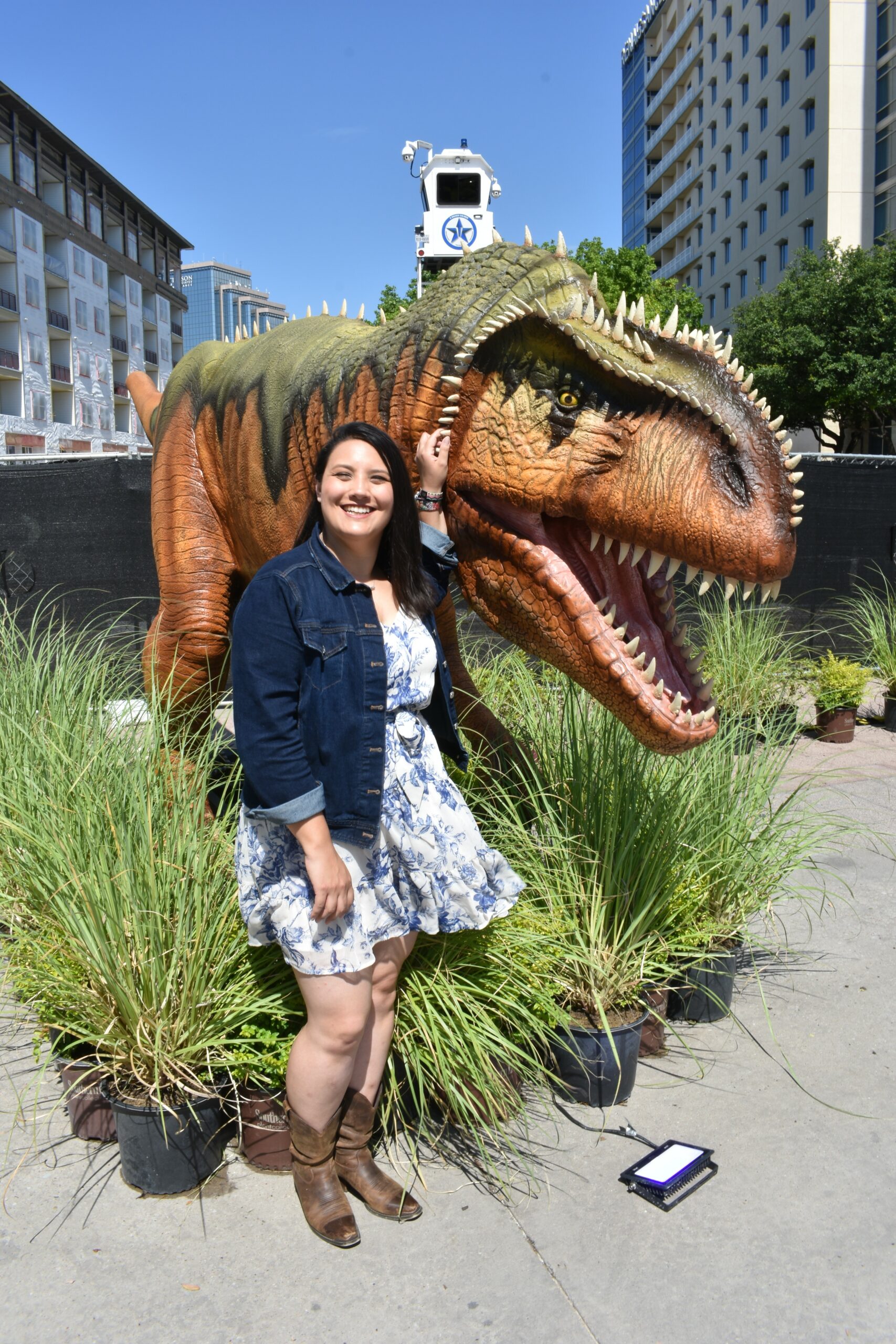 Meet Lauren Billings - Bold Journey Magazine