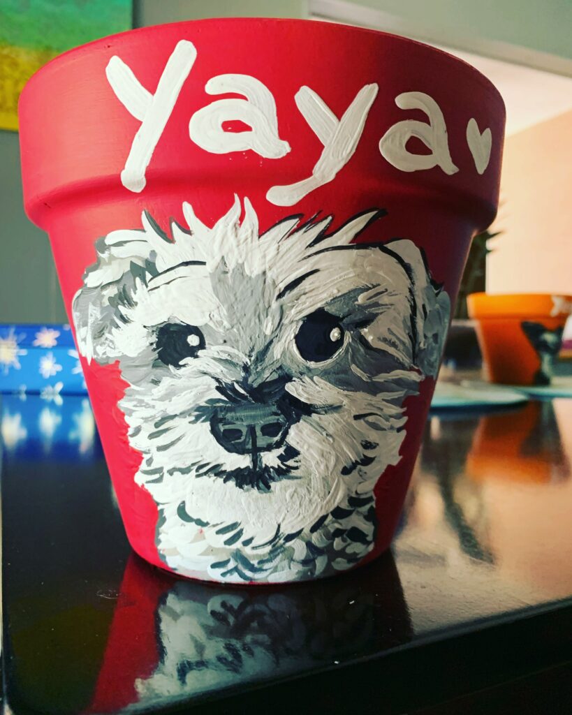 Meet Adri Reyes - Bold Journey Magazine