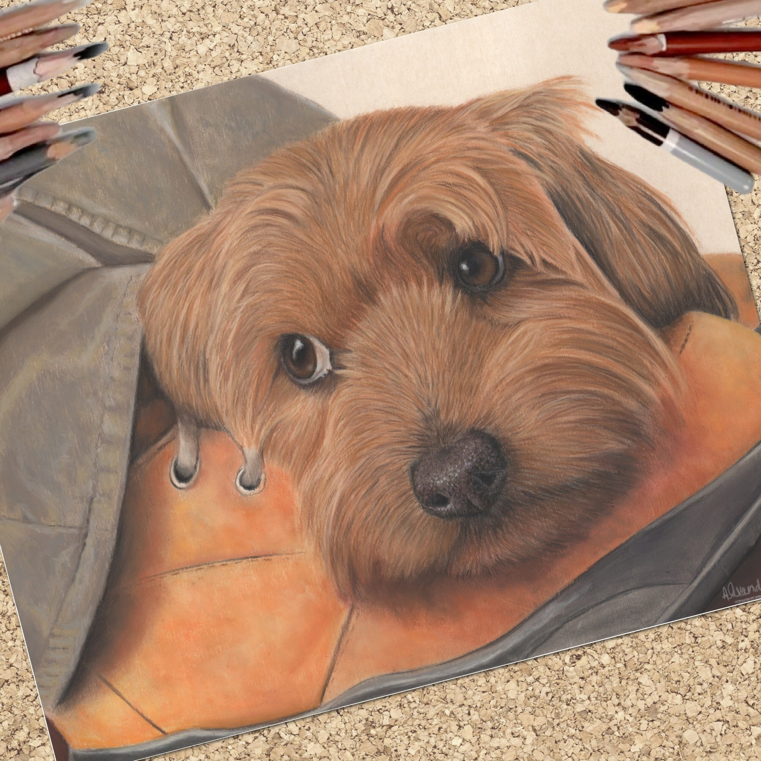 Meet Alexandra Rey - Bold Journey Magazine