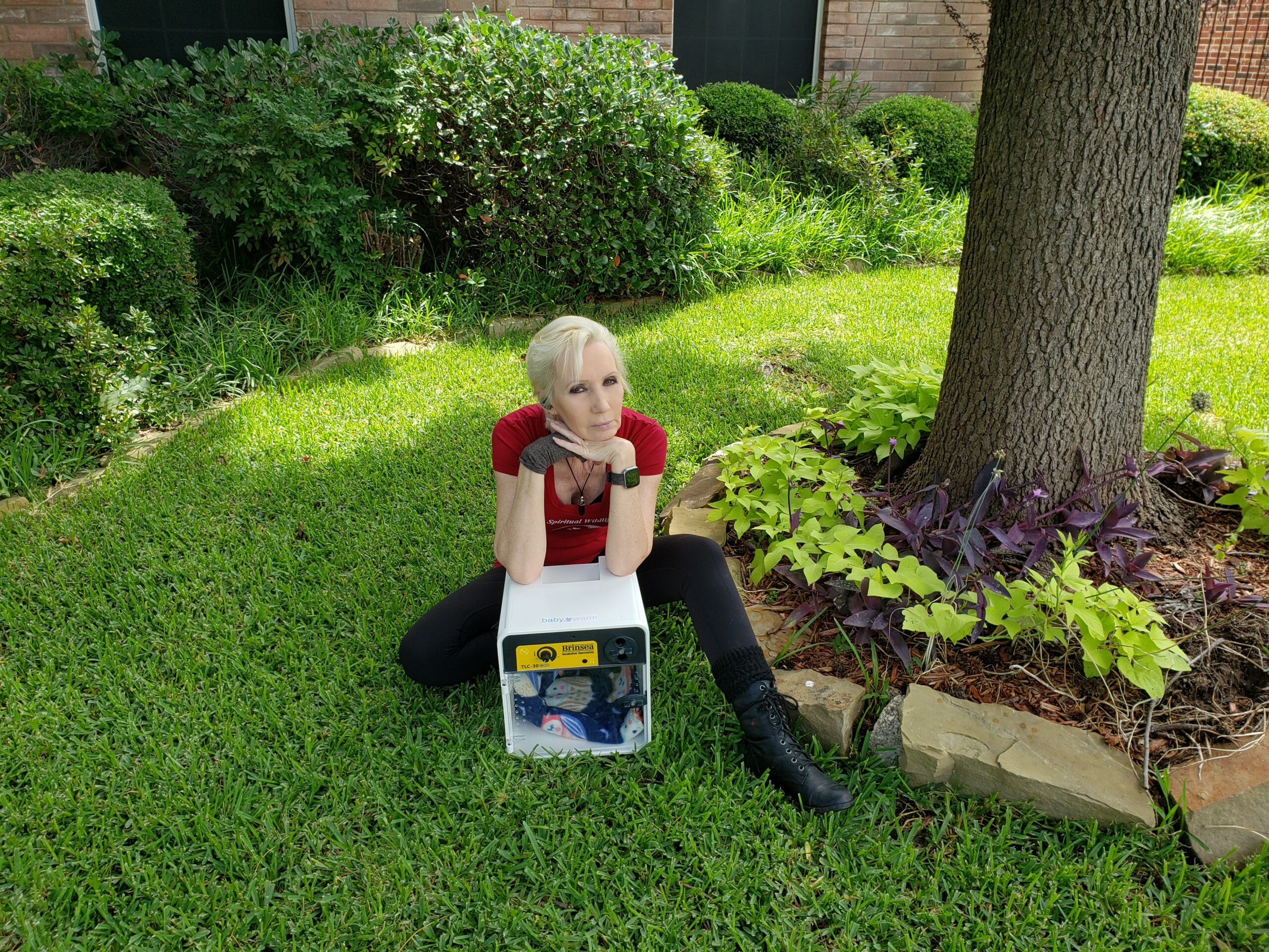 Meet Moon Taylor - Bold Journey Magazine