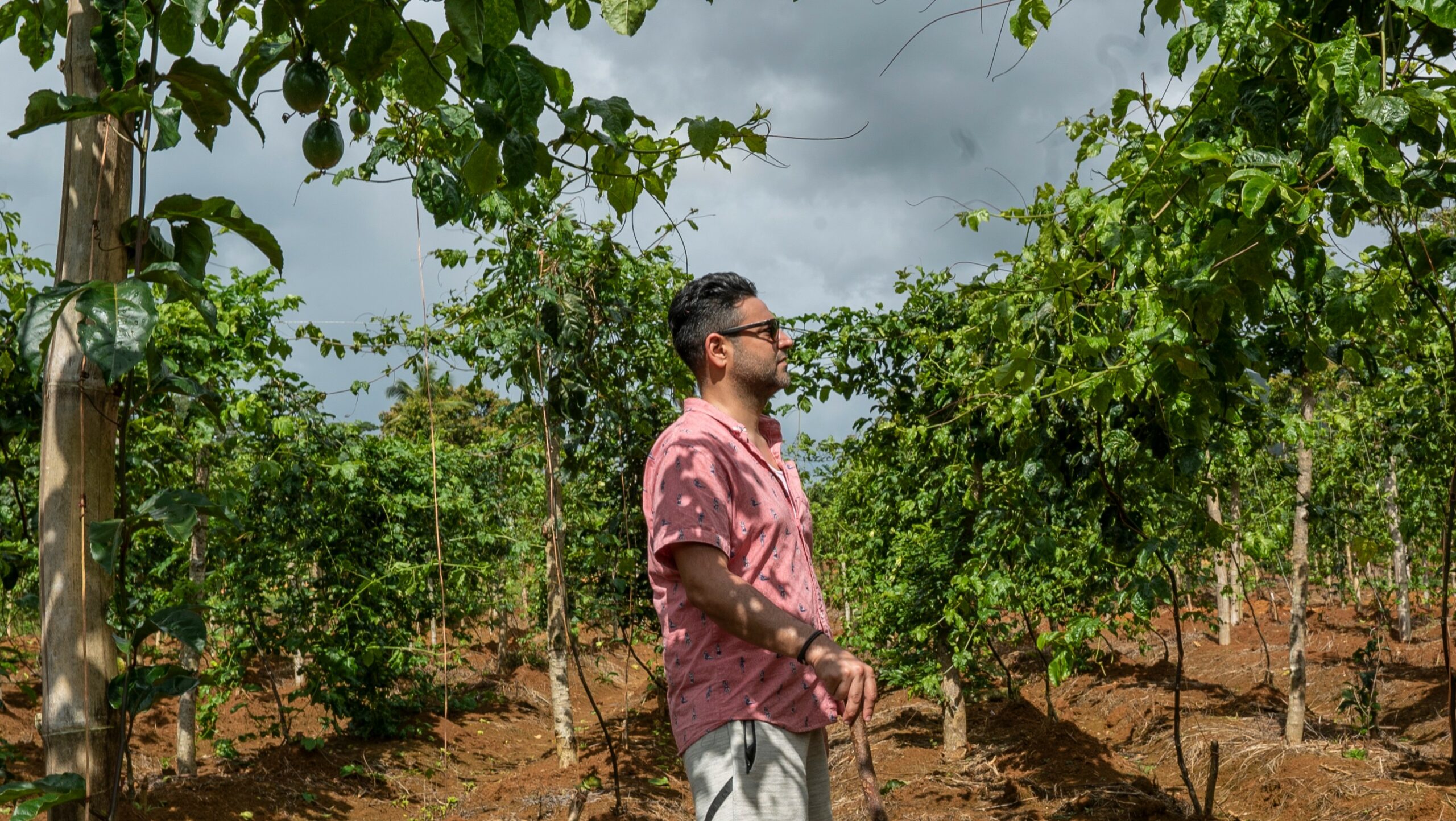 Meet Robert Pallone - Bold Journey Magazine