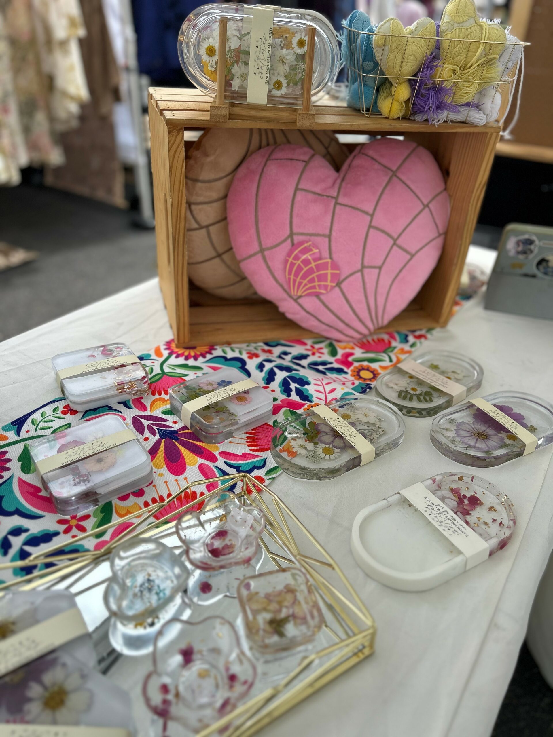 Meet Sandra Contreras - Bold Journey Magazine