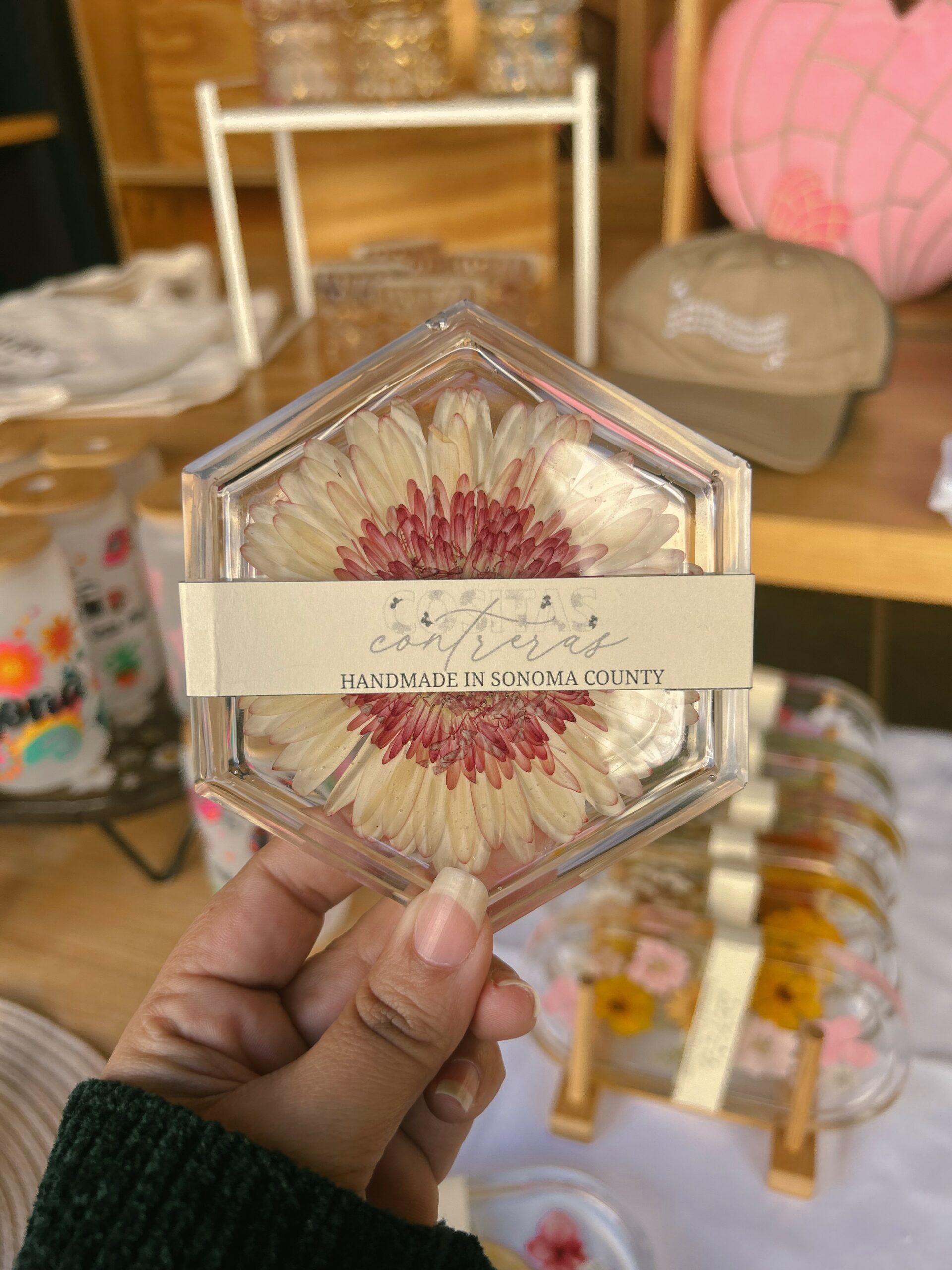 Meet Sandra Contreras - Bold Journey Magazine