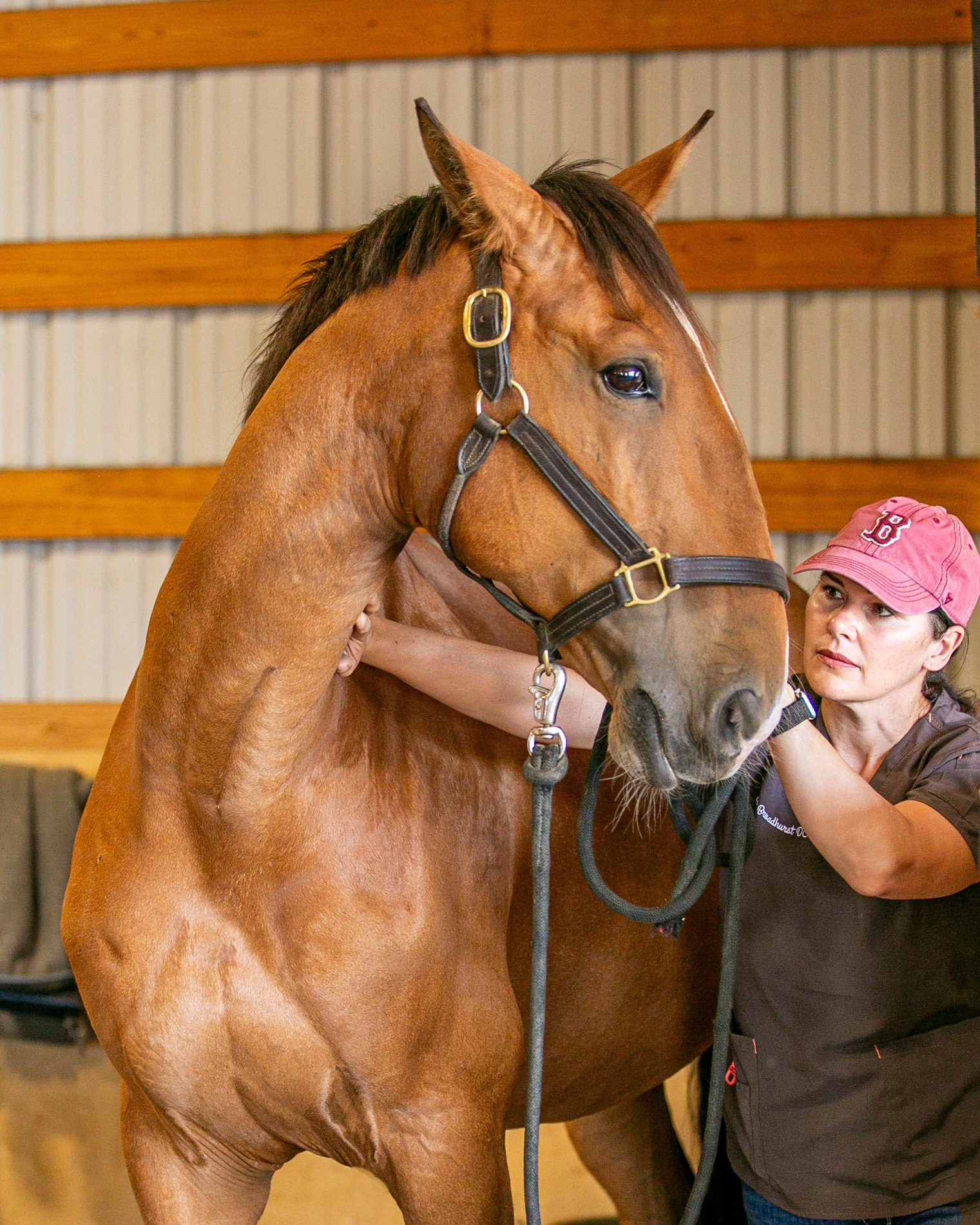 Meet Michele Broadhurst - Bold Journey Magazine