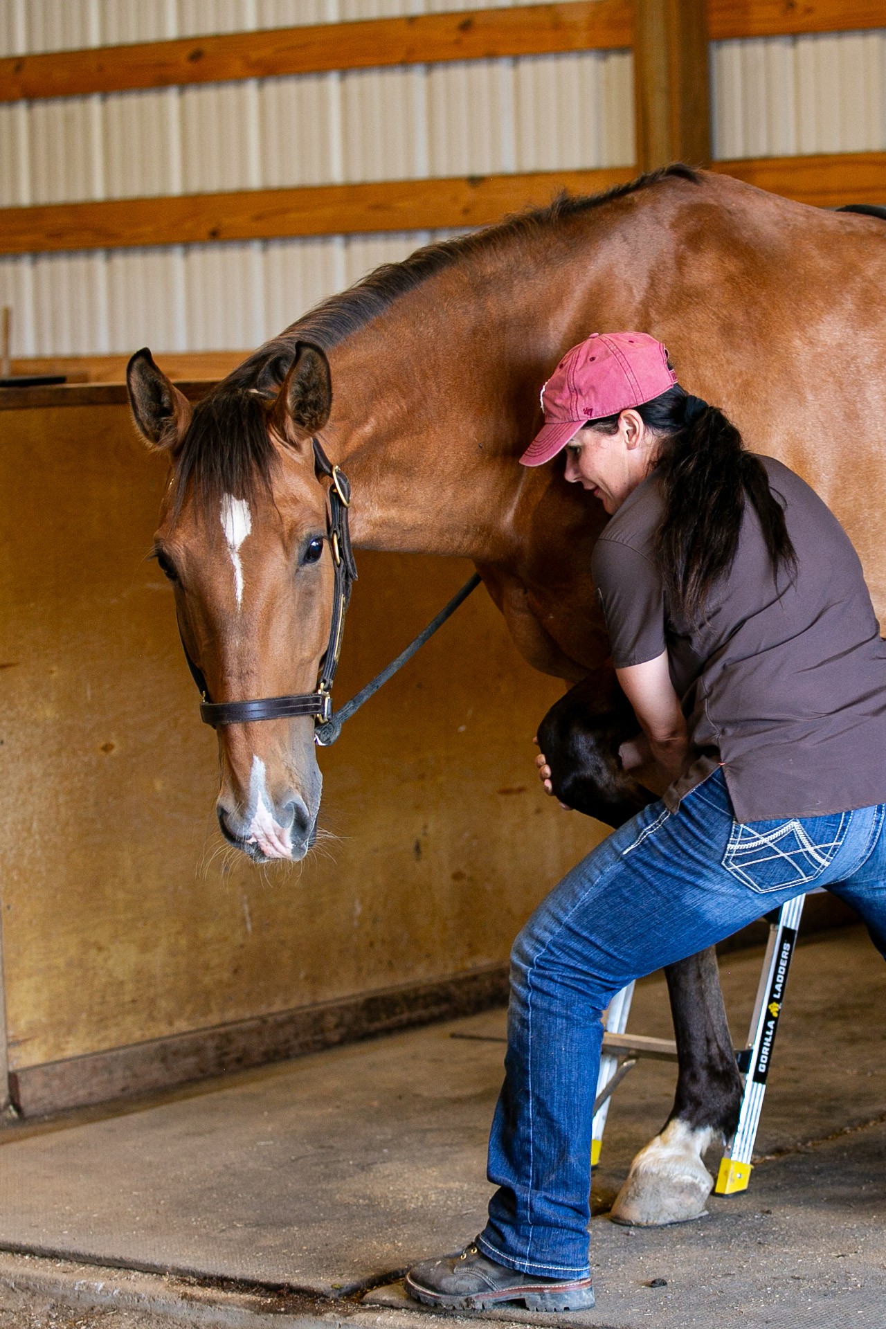 Meet Michele Broadhurst - Bold Journey Magazine