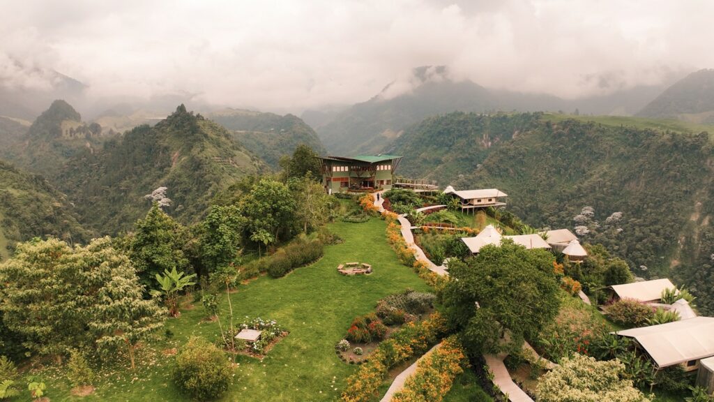 Meet Rachel Larkin - Bold Journey Magazine