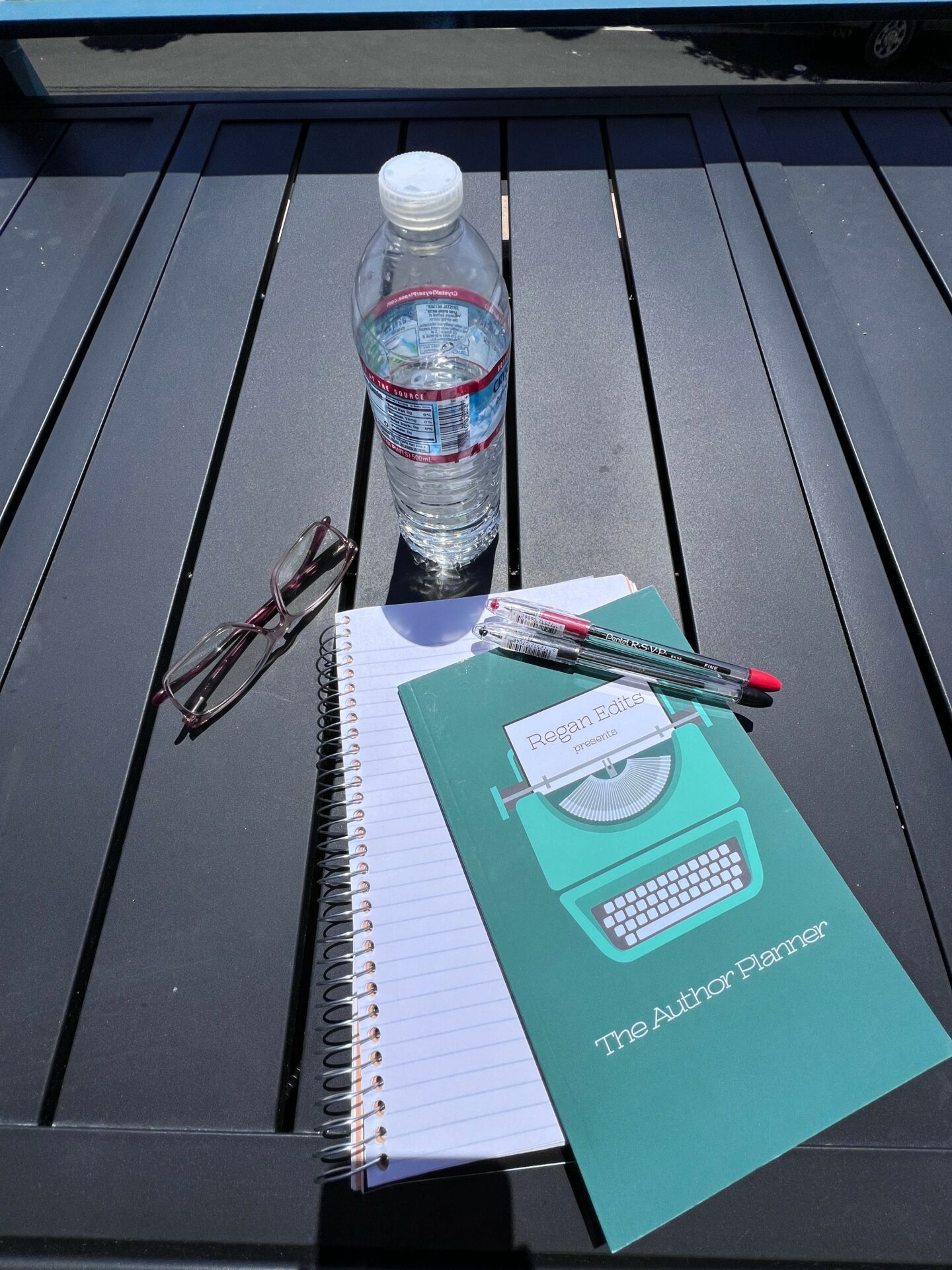 Meet Regan Richardson - Bold Journey Magazine