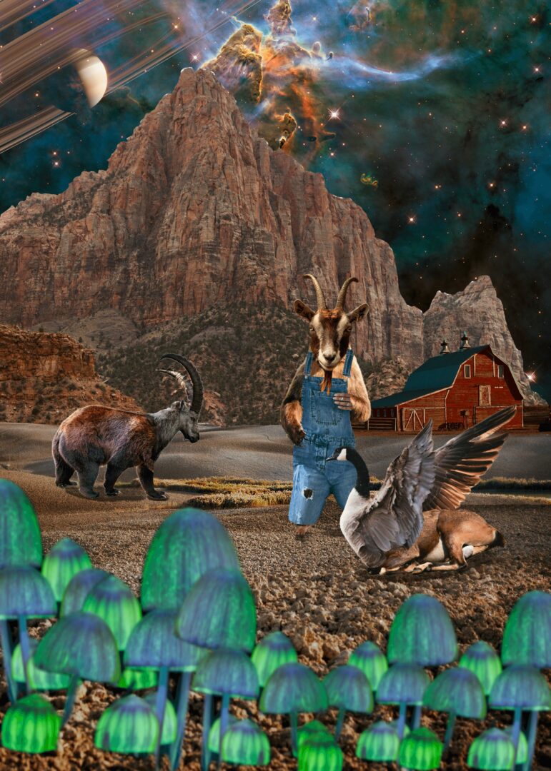 Meet Kim Valentine - Bold Journey Magazine