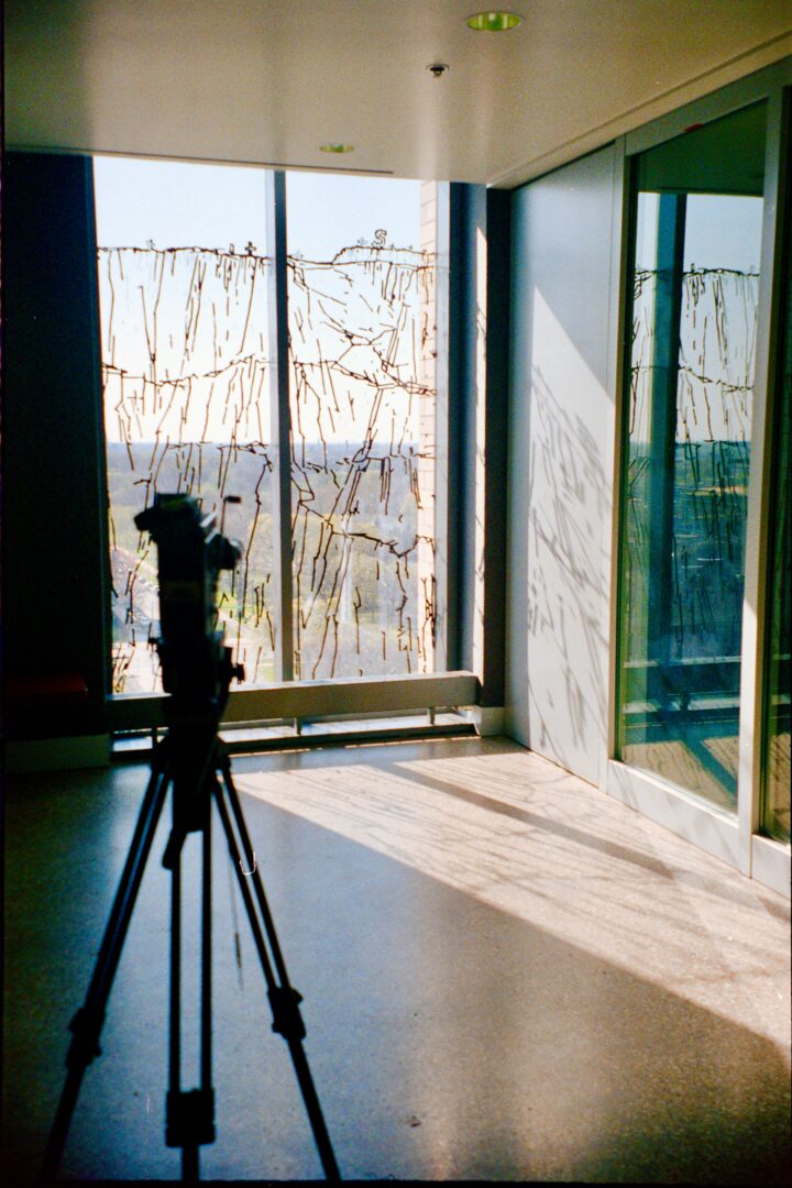 Meet Tianjiao Wang - Bold Journey Magazine